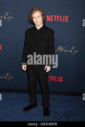 Fred Hechinger, at "The Pale Blue Eye" Los Angeles Premiere at The DGA ...