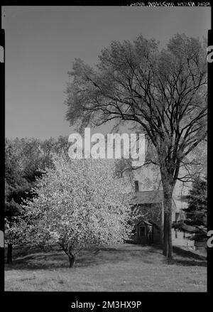 Near North Andover, house exterior , Architecture, Dwellings, Trees ...