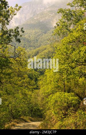 The M peak of Chipinque, hiking in the mountain and getting that view ...