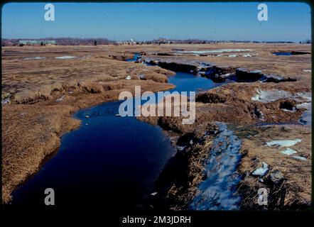 North River Marshes, Scituate Mass. , Rivers, Wetlands, Grasses ...
