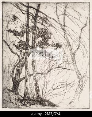 Oakwood V , Trees. Charles H. Woodbury (1864-1940). Prints Stock Photo ...