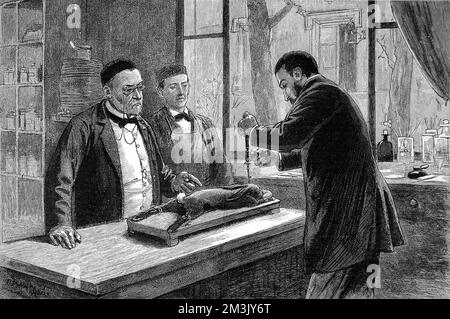 Louis Pasteur experimenting Stock Photo - Alamy