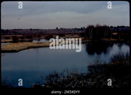 On Route 109, Millis-Medfield border, easterly , Rivers, Grasses ...