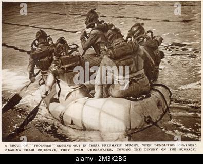 Divers in pool Stock Photo - Alamy