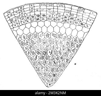 Potato starch grains under the microscope 200x Stock Photo - Alamy