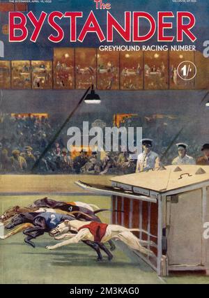 Greyhound racing traps Stock Photo - Alamy