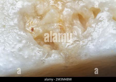 close shot of the rotten apple meat flesh Stock Photo - Alamy