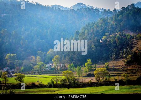 Terrace farming, Bijoria village, Kausani, Bageshwar, Kumaon ...