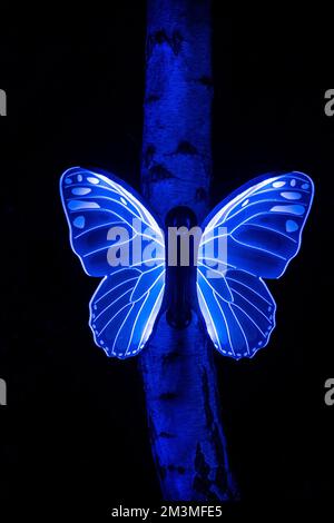 Illuminated flouresent butterflies on a tree Stock Photo - Alamy