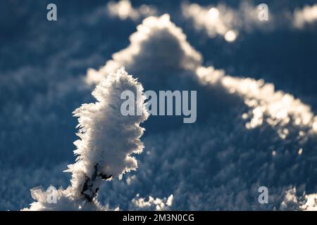 Sonnenberg, Germany. 16th Dec, 2022. The hot air balloon "Brockenballon ...