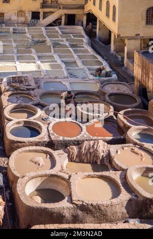 processing hides in the tannery quarter in the fes medina morocco Stock ...