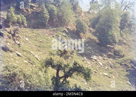A landslide is defined as the movement of a mass of rock, debris, or ...