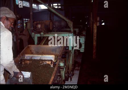 Tea Factory in Coonoor, Tamil Nadu.:- As with the orthodox method, the ...