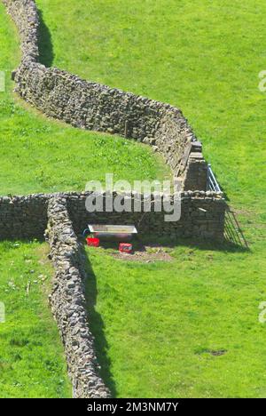 Looking south over Swaledale, at Gunnerside. Narrow Road. Barns and dry ...