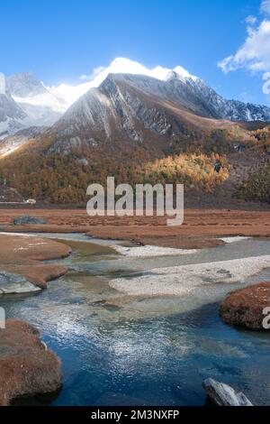 Lourong meadow, Yading National Nature Reserve, Riwa Town, Daocheng ...