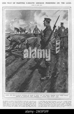 German Prisoners of War Farming in Normandy "German prisoners of war ...