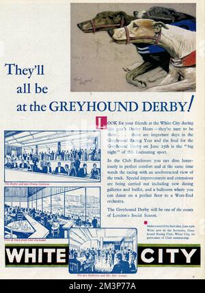 White City greyhound racing advertisement, 1938 Stock Photo - Alamy