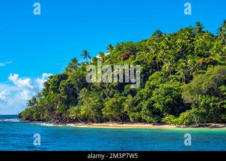 Lush pristine tropical island oasis in the Pacific Ocean - Jungle at ...