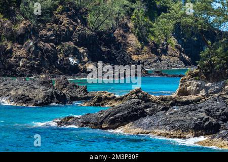 Lush pristine tropical island oasis in the Pacific Ocean - Jungle at ...