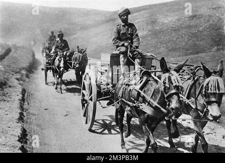 WW1 World War I - Indian carts covoy cross desert Mesopotamia, Iraq ...