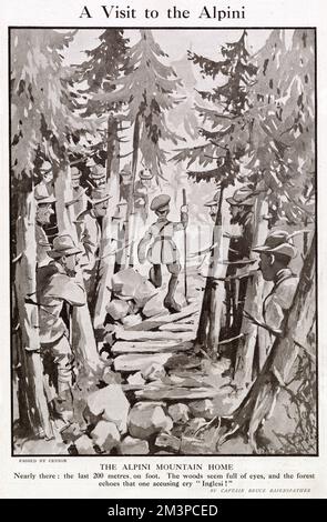 A Visit to the Alpini by Bruce Bairnsfather, WW1 cartoon Stock Photo ...