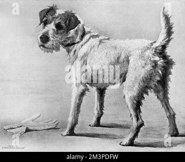 A portrait of King Edward VII who was King of England from 1901 until ...