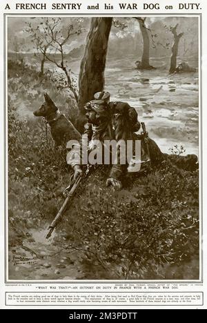 A French listening sentry, 1915 Stock Photo - Alamy