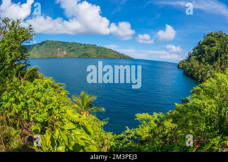 Lush pristine tropical island oasis in the Pacific Ocean - Jungle at ...