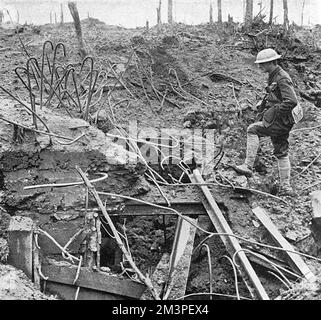 German concrete dugout, First World War preserved trenches at ...