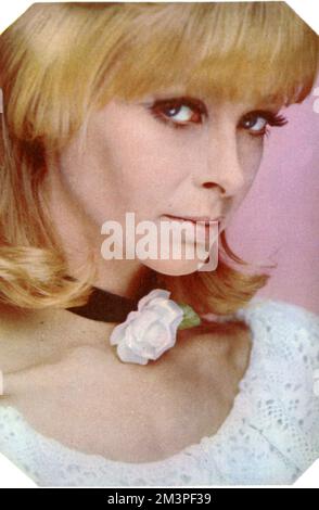 Fashion trends Advertisement Stock Photo - Alamy