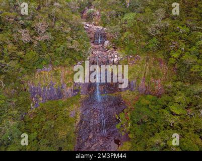 The Alexandra waterfalls is a part of black river gorges national park ...