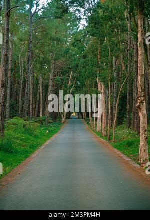 The Alexandra waterfalls is a part of black river gorges national park ...