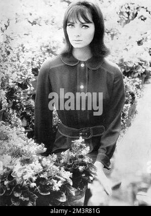 Dress by Ginger Group - Mary Quant, 1965 Stock Photo - Alamy