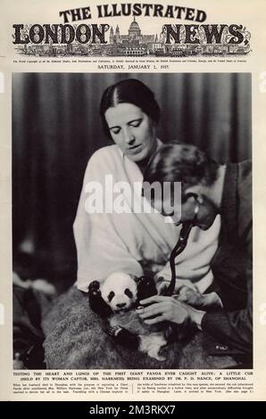 Ruth Harkness and her baby Giant Panda, Sun-Lin Stock Photo - Alamy