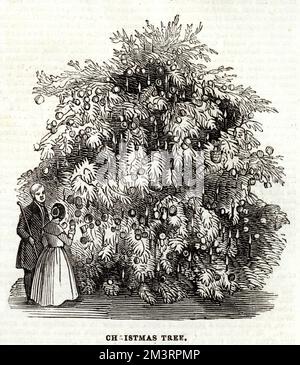 Tree of temperance Stock Photo - Alamy