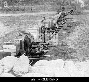 WW1 Belgian soldiers in trench fitting messages on carrier pigeons in ...