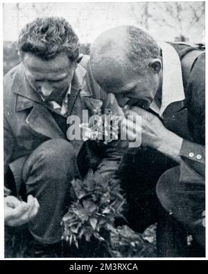 Wandervogel Movement - vegetarian hikers forage for food Stock Photo ...