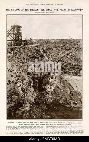 Hominid fossil skull of Rhodesia man, Homo rhodesiensis and Homo ...