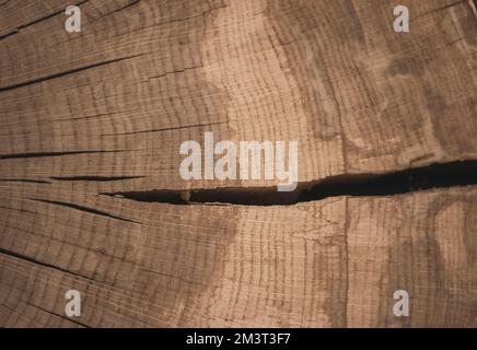 Cross section of a 100-year-old sawn tree trunk with cracks. Background ...