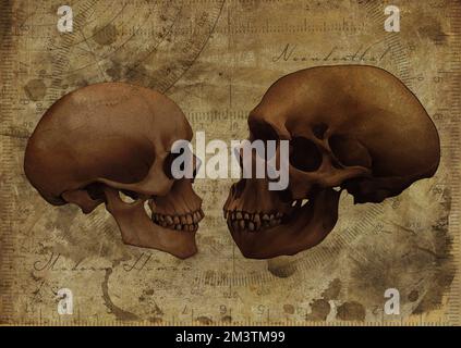 Neanderthals Archaic Extinct Human Skull Fossil Digital Art By ...