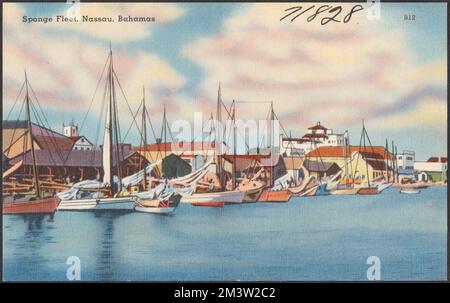 Sponge fleet, Nassau, Bahamas , Boats, Tichnor Brothers Collection ...