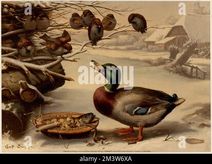 Stealing is a sin , Birds, Animal feeding, Snow. Louis Prang & Company ...