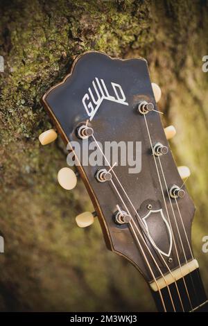 Grant Nicholas's Guild M-20 acoustic guitar Stock Photo - Alamy