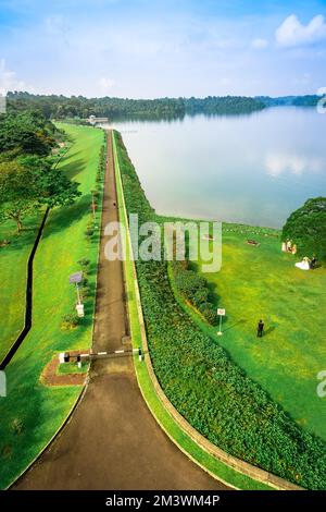 Upper Seletar Reservoir Park is a world filled with lush greenery and ...