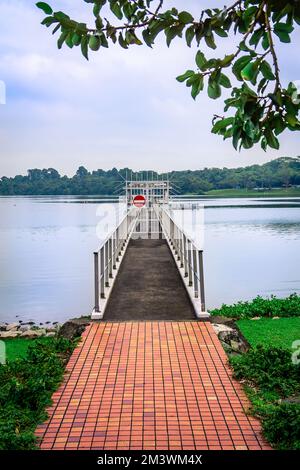 Upper Seletar Reservoir Park is a world filled with lush greenery and ...