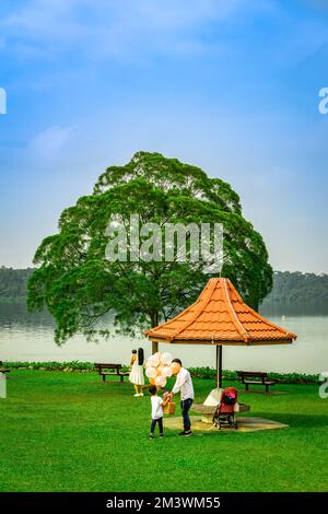 Upper Seletar Reservoir Park is a world filled with lush greenery and ...