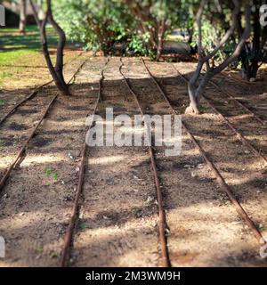 Irrigation system for plants and trees with pipes on earth in an ...