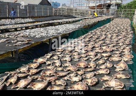The dry fish procession village at Diamond Ghat in Chattogram ...