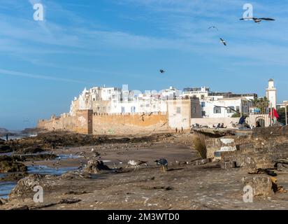 Walled town Medina from the coast, Essaouira, Morocco, north Africa ...