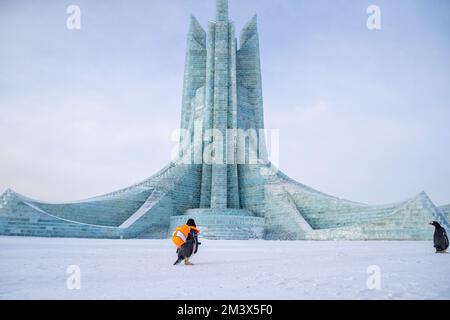 Penguins from Harbin Polarpark were seen at the Harbin Ice-Snow World ...
